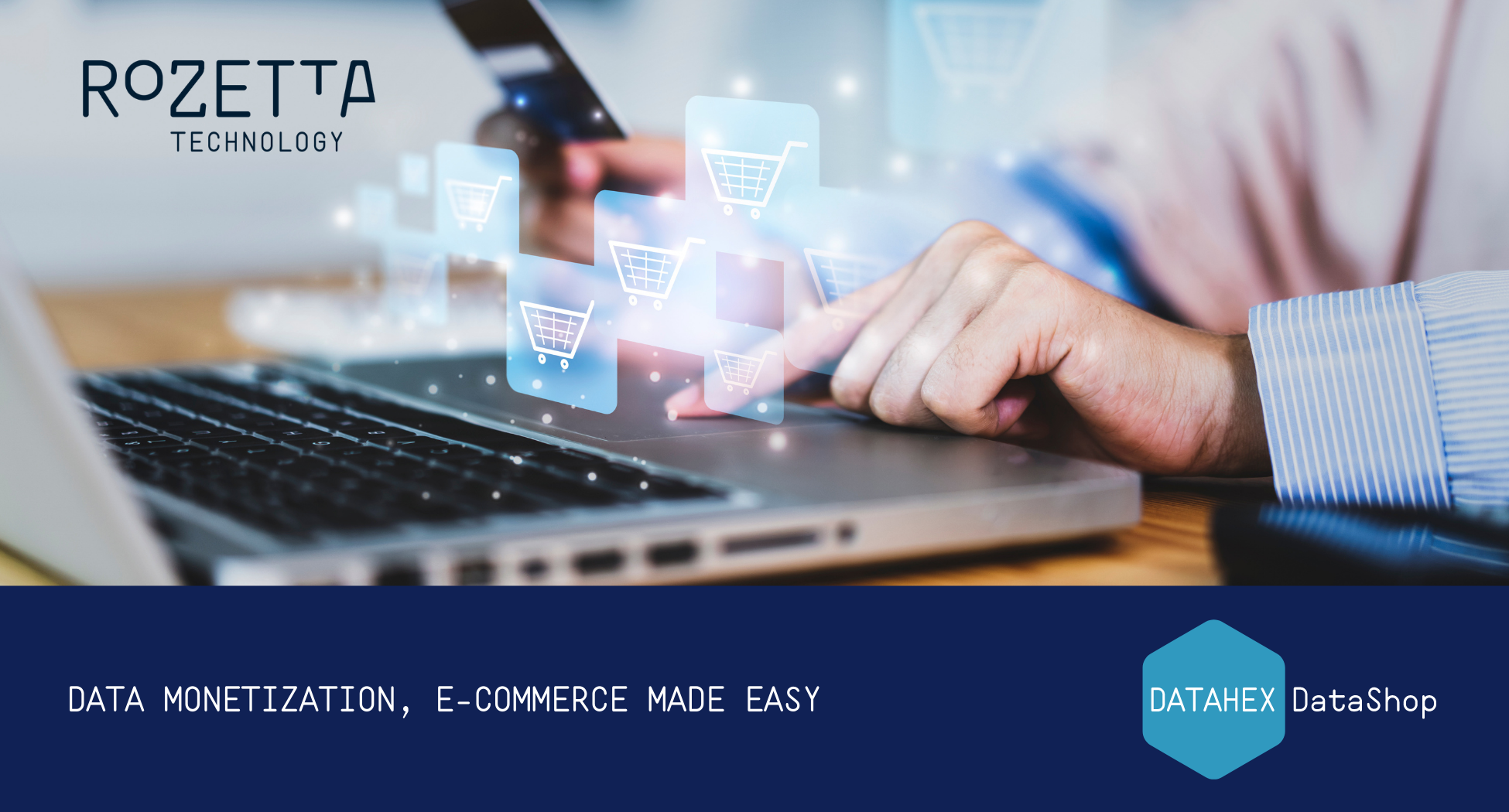 DataHex-DataShop e-Commerce made easy - RoZetta Technology